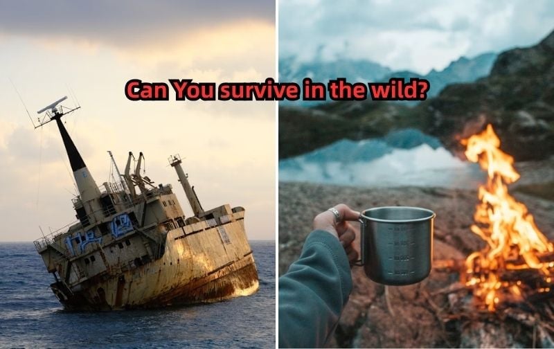 Believe It or Not, These Questions Will Reveal If You’d Survive in the ...